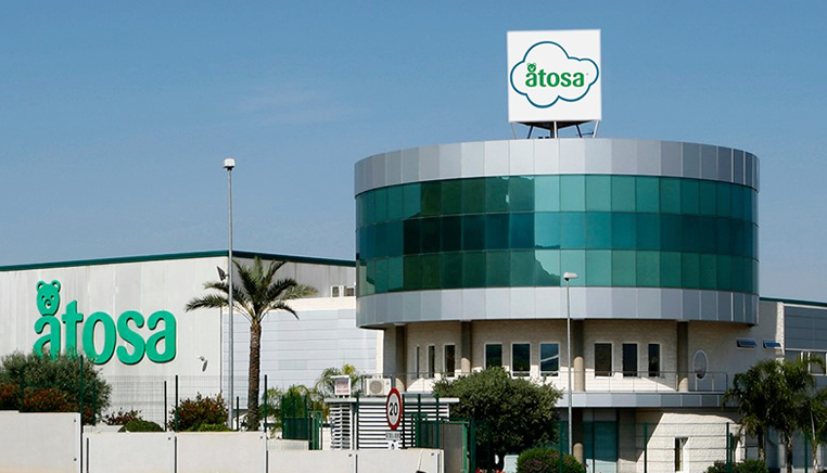 Análisis de Modelo de Negocio Digital para ATOSA - Grupo Camaleón Creativos